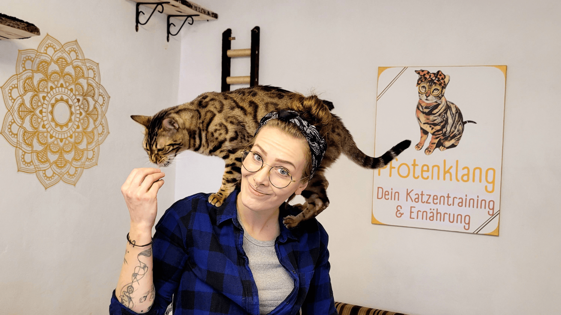 Pfotenklang | inpetto